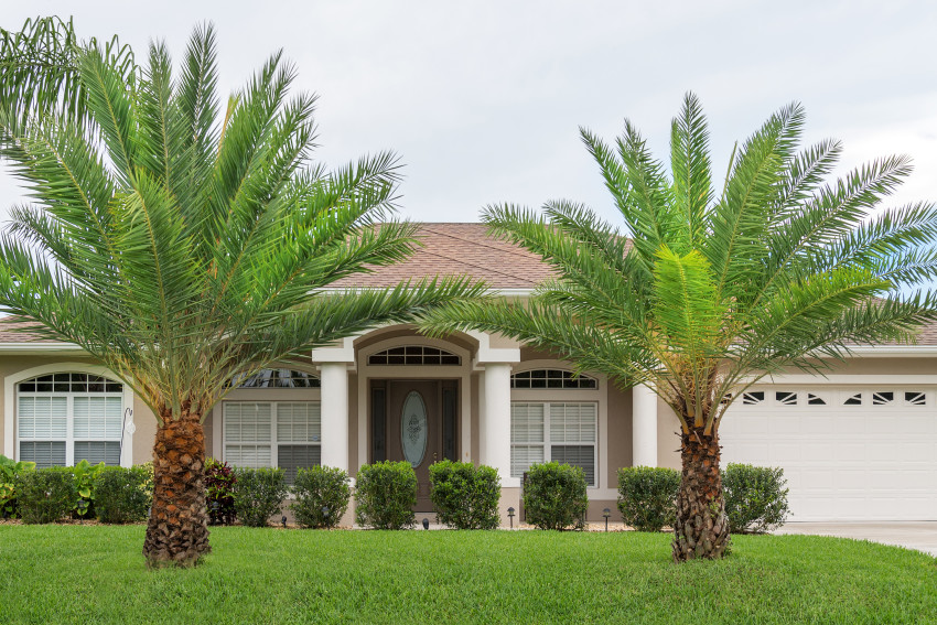Green Earth Pest Control